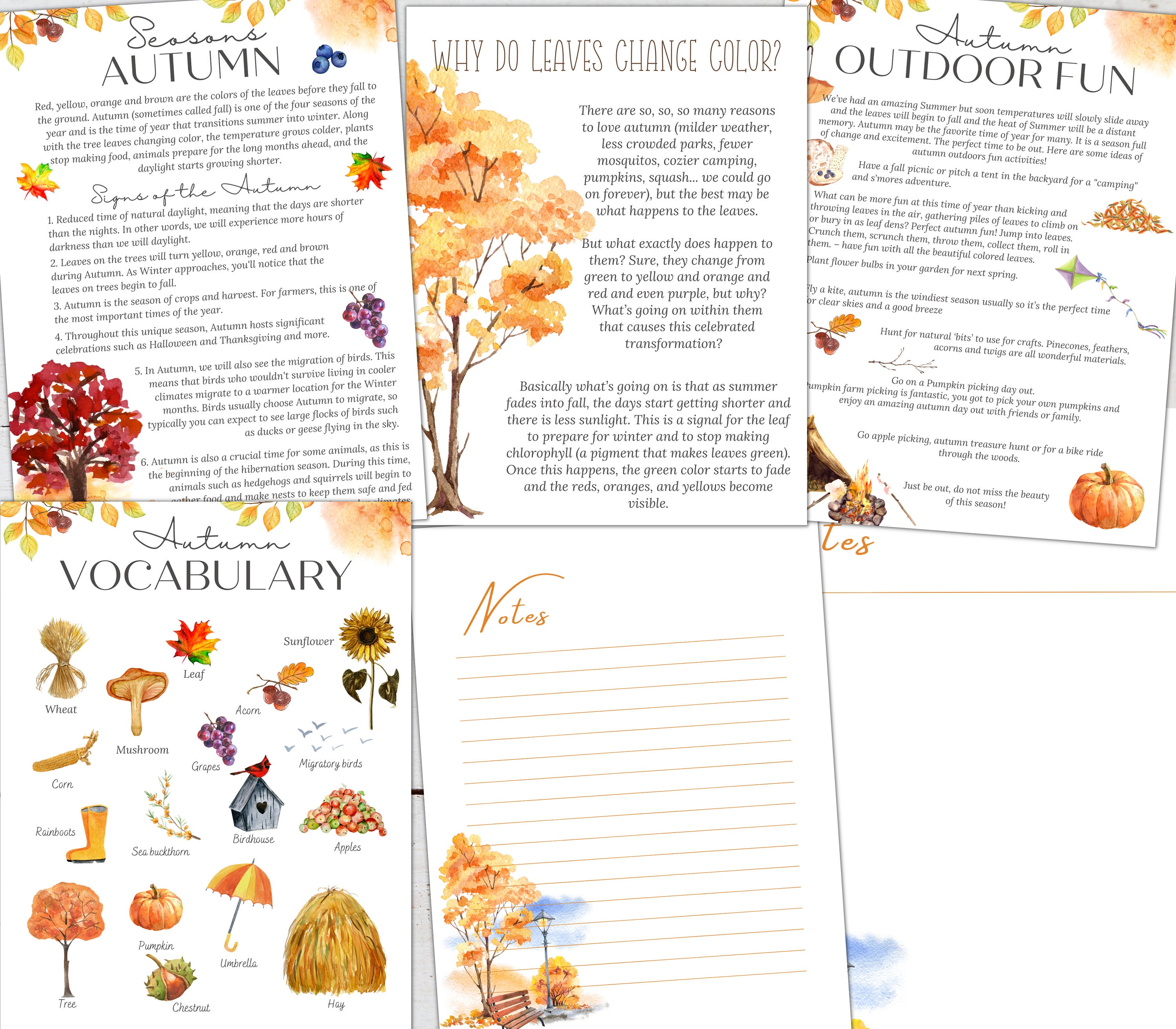 SEASONS UNITS BUNDLE, Seasons Activities, Science, Handwriting ...