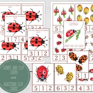 LADYBUGS Unit Study, Nature Study, Ladybug Activities, Science ...