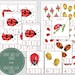 LADYBUGS Unit Study, Nature Study, Ladybug Activities, Science ...