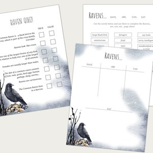 RAVEN Unit Study, Anatomy, Nature Study, Science, Handwriting ...