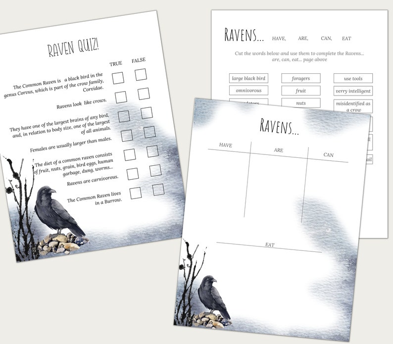 RAVEN Unit Study Anatomy Nature Study Science Handwriting - Etsy