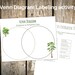 DECIDUOUS Vs EVERGREEN Trees Venn Diagram Activity - Etsy