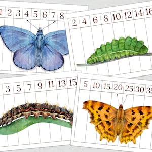 Butterflies and Their Caterpillars Unit Study, Life Cycle, Anatomy ...