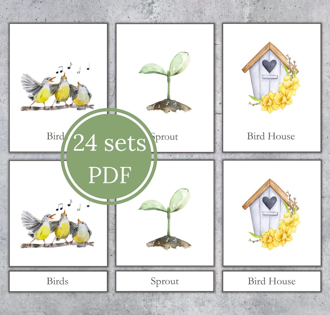SPRING NATURE Montessori 3 Part Cards. Preschool Vocabulary Activity ...