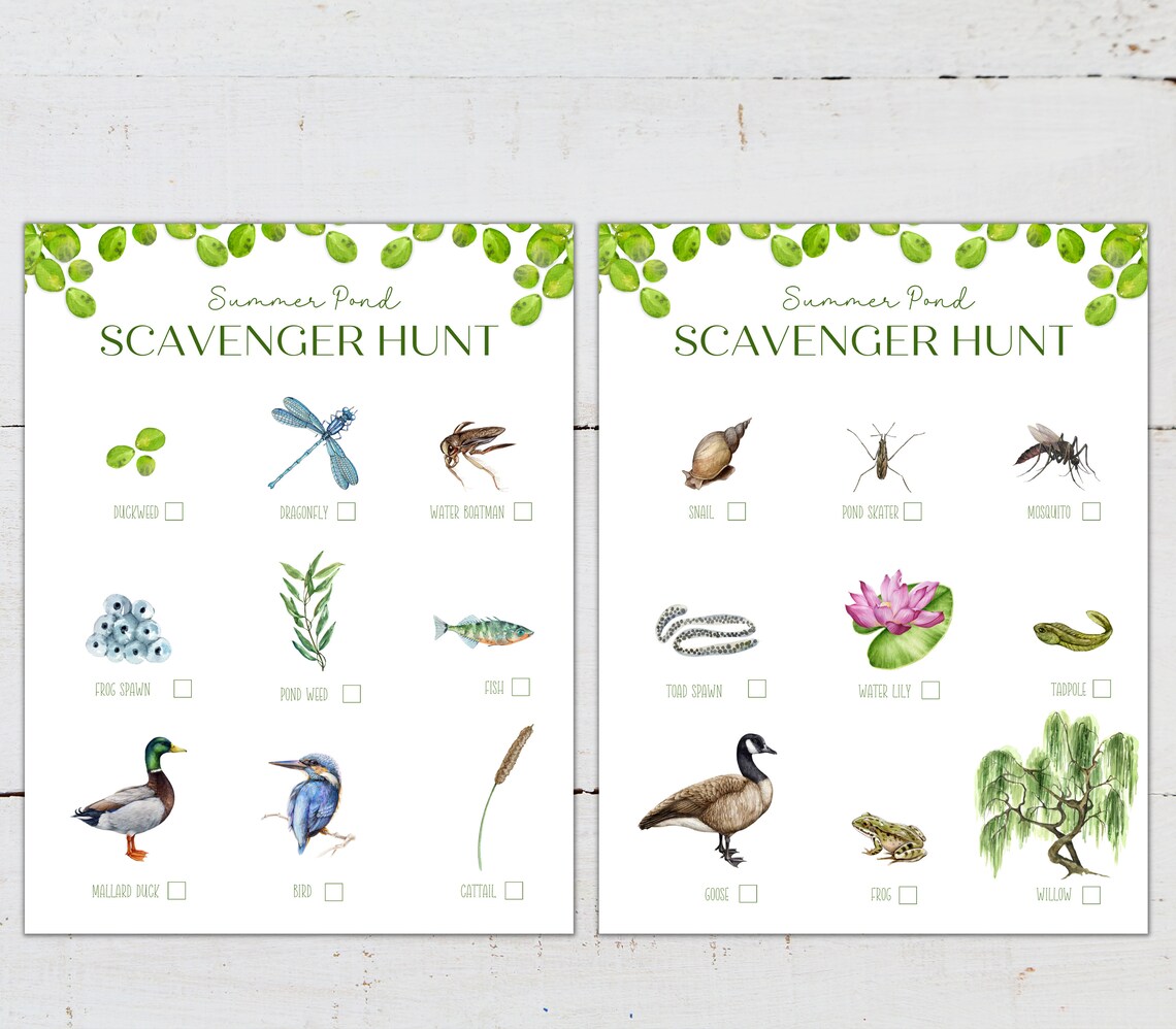 Pond Scavenger Hunt: Observation Activity Pages (printable PDF) - Etsy