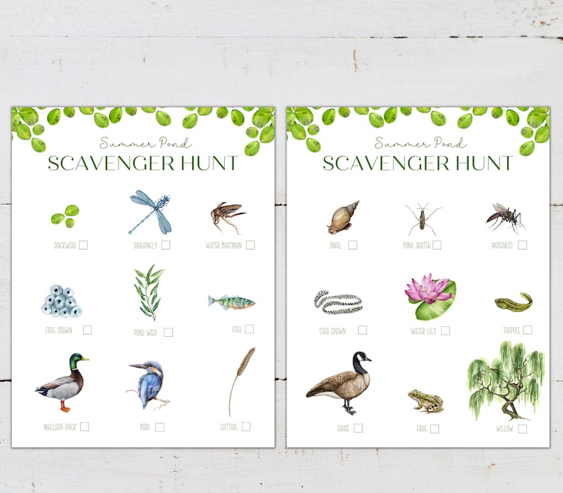 Pond Scavenger Hunt: Observation Activity Pages (printable PDF) - Etsy