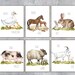 Farm Animal Moms & Babies Flashcards: Montessori Activity (instant ...