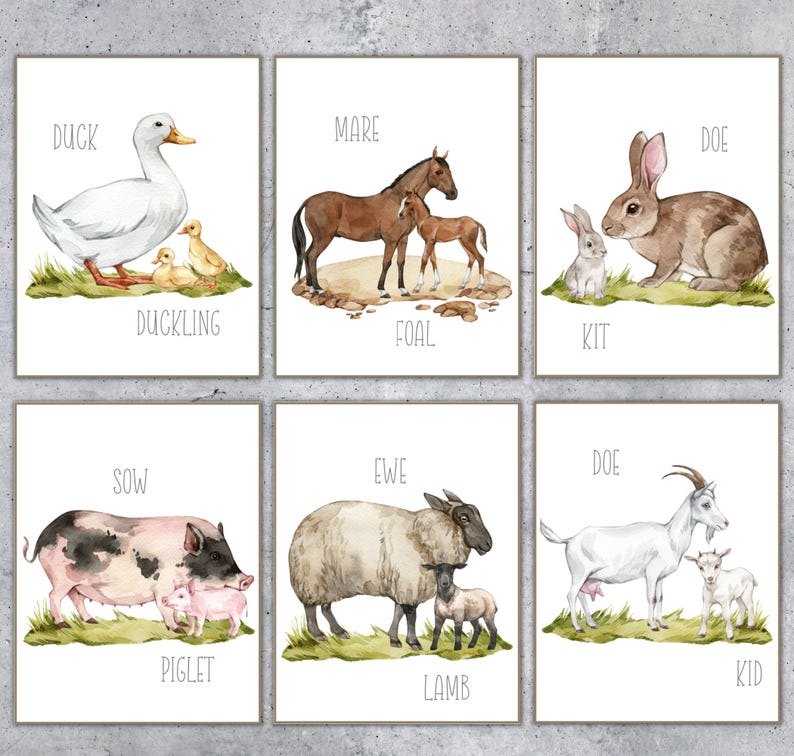 Farm Animal Moms & Babies Flashcards: Montessori Activity (instant ...
