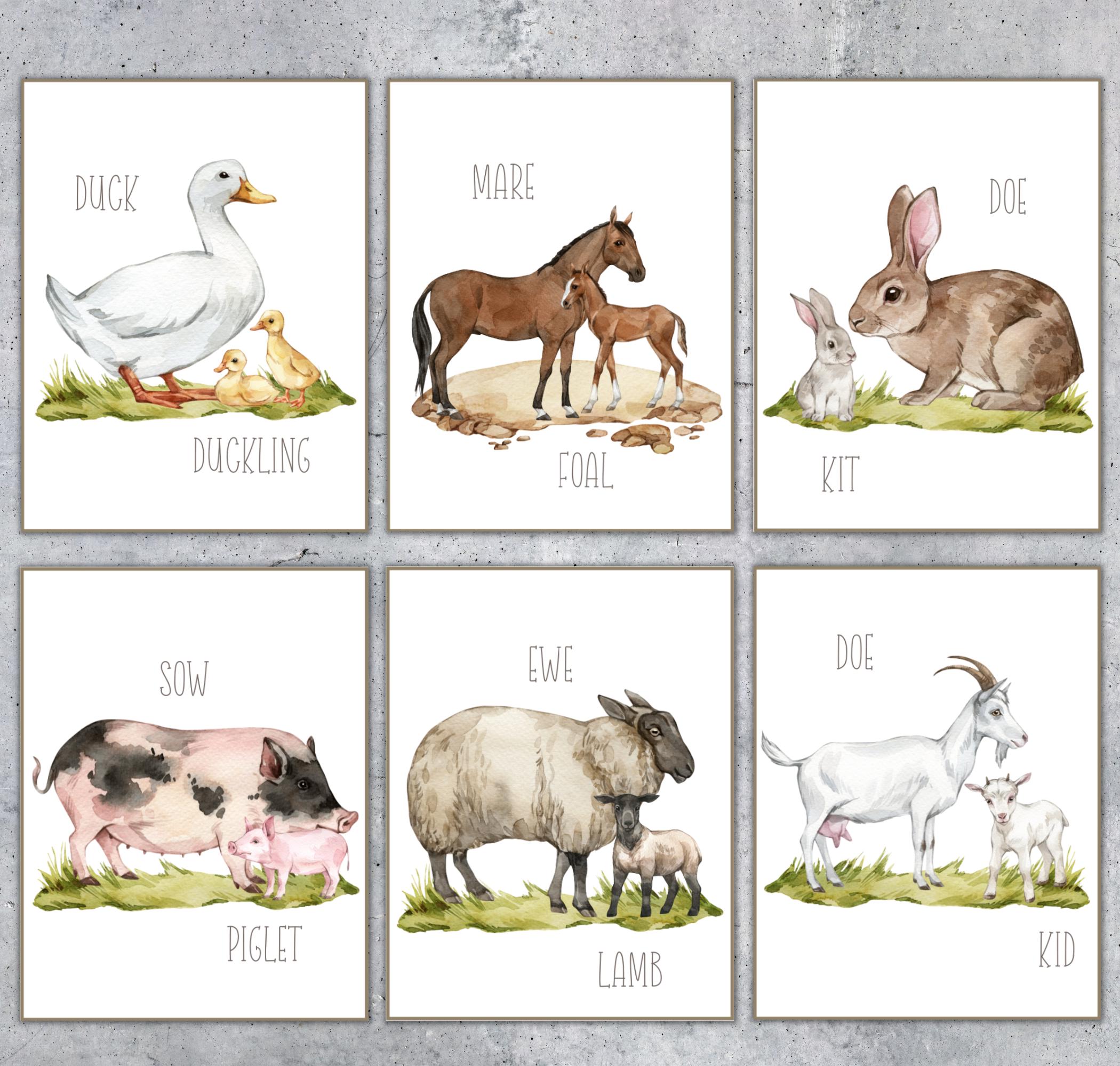 Farm Animal Moms & Babies Flashcards: Montessori Activity (instant ...