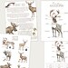 DEER Unit Study, Life Cycle, Anatomy, Nature Study, Science ...