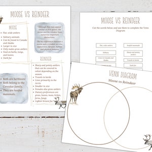 Reindeer Unit Study: Homeschool Science, Anatomy, Life Cycle (instant ...