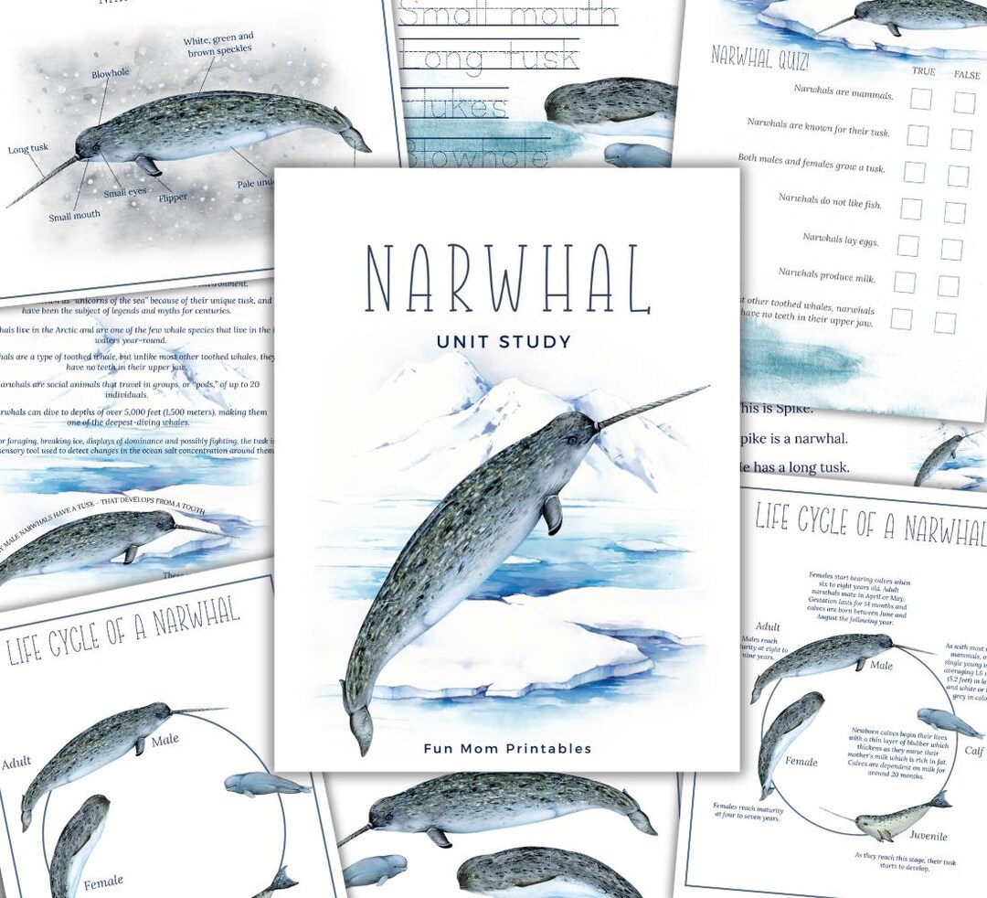 NARWHAL Unit Study, Life Cycle, Anatomy, Nature Study, Science ...