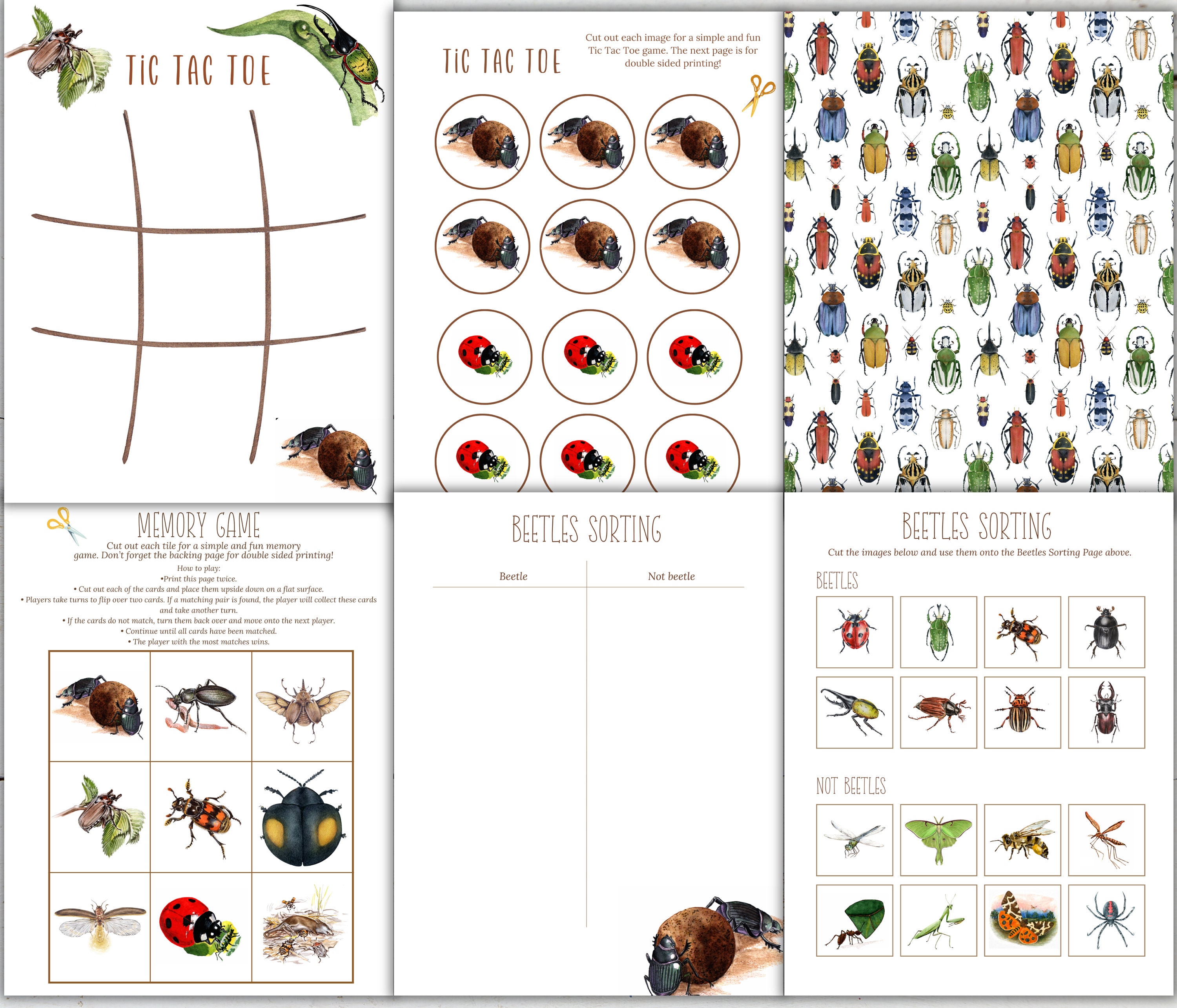 Beetles Unit Study: Homeschool Science Printable (instant Download) - Etsy