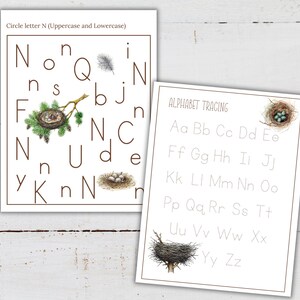 LETTER of the WEEK, N is for Nest, Letter N Activities, Alphabet ...