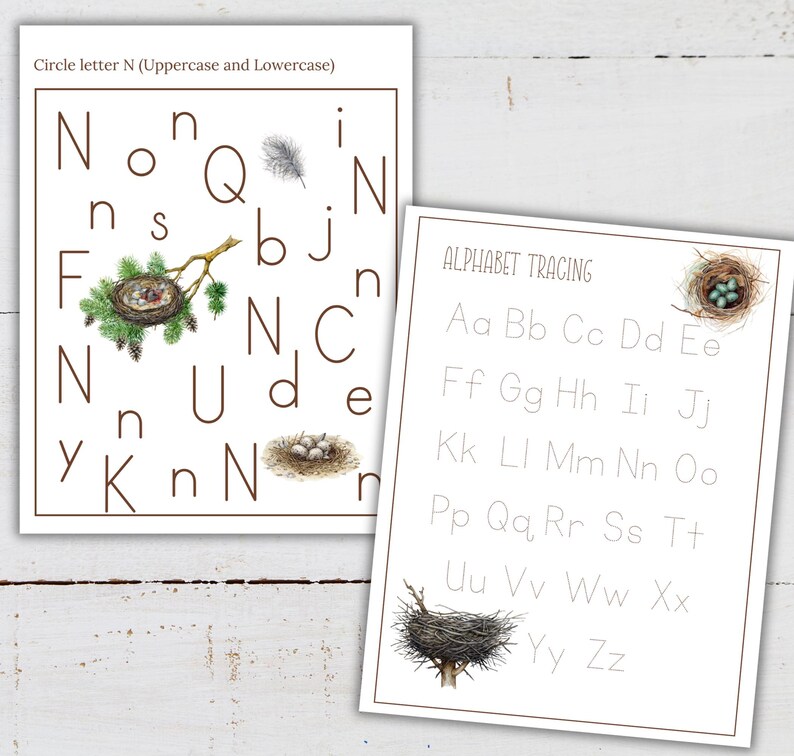 Letter N is for Nest: Alphabet Learning Printable (digital Download) - Etsy