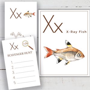 LETTER of the WEEK, X is for X-ray Fish, Letter X Activities, Alphabet ...