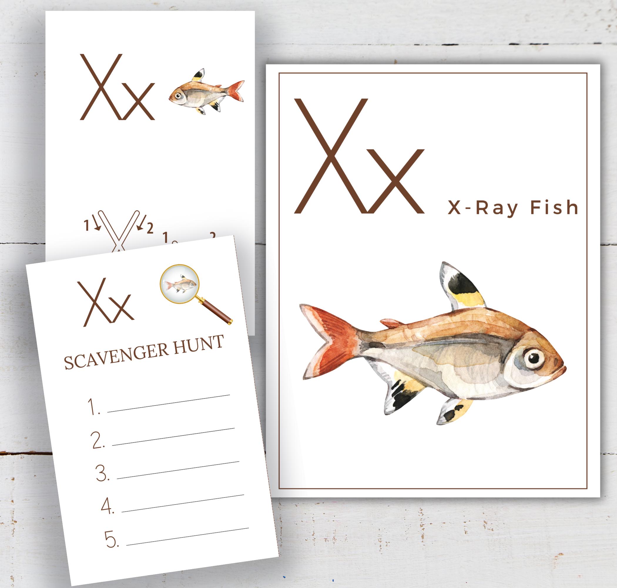 Letter X Activity: X-ray Fish Alphabet Learning (printable Digital ...