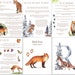 RED FOX Unit Study, Life Cycle, Anatomy, Nature Study, Science ...