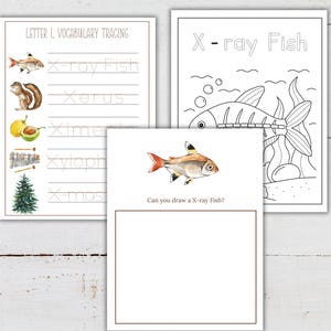 LETTER of the WEEK, X is for X-ray Fish, Letter X Activities, Alphabet ...