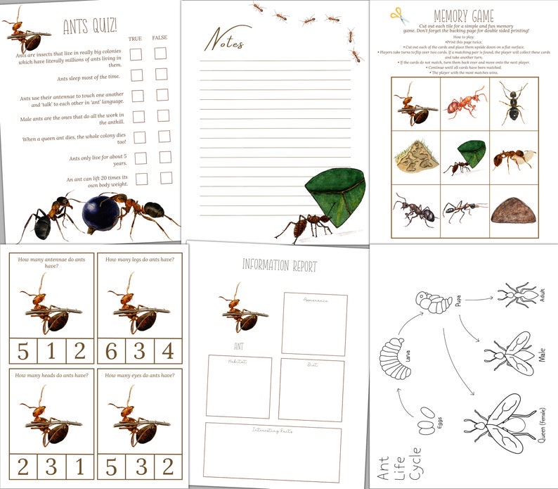 Ant Colony Unit Study: Homeschool Science Printable (instant Download ...