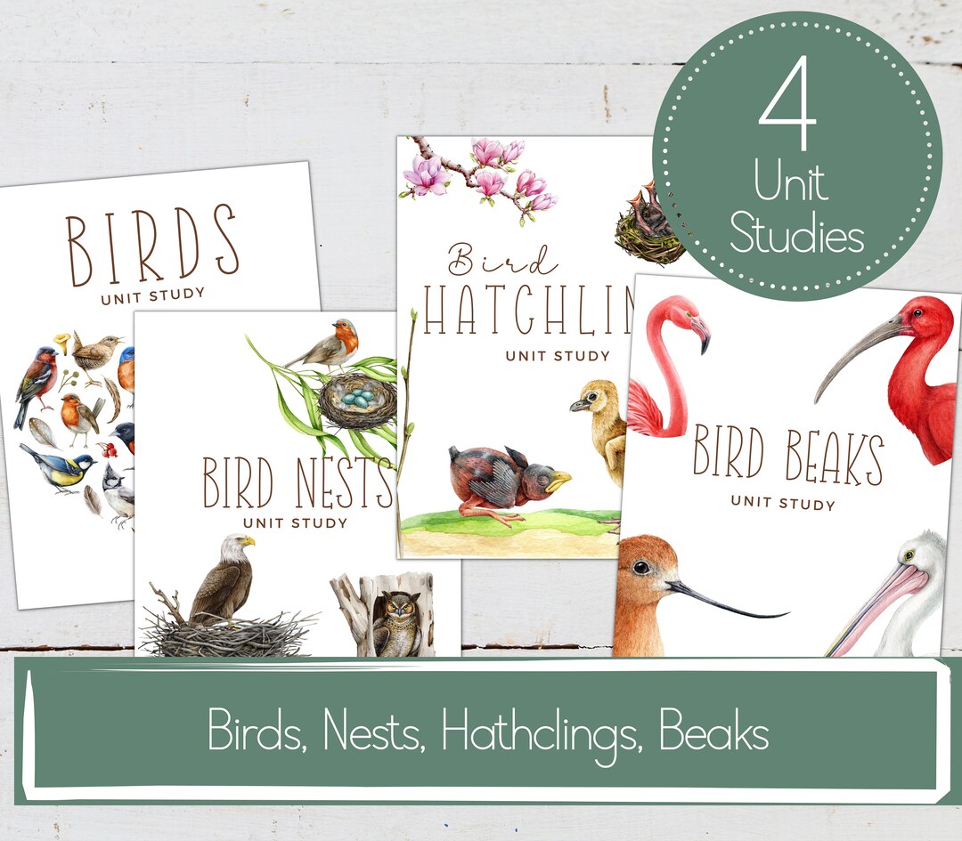BIRDS UNITS BUNDLE, Bird Activities, Nests, Hatchlings, Beaks ...