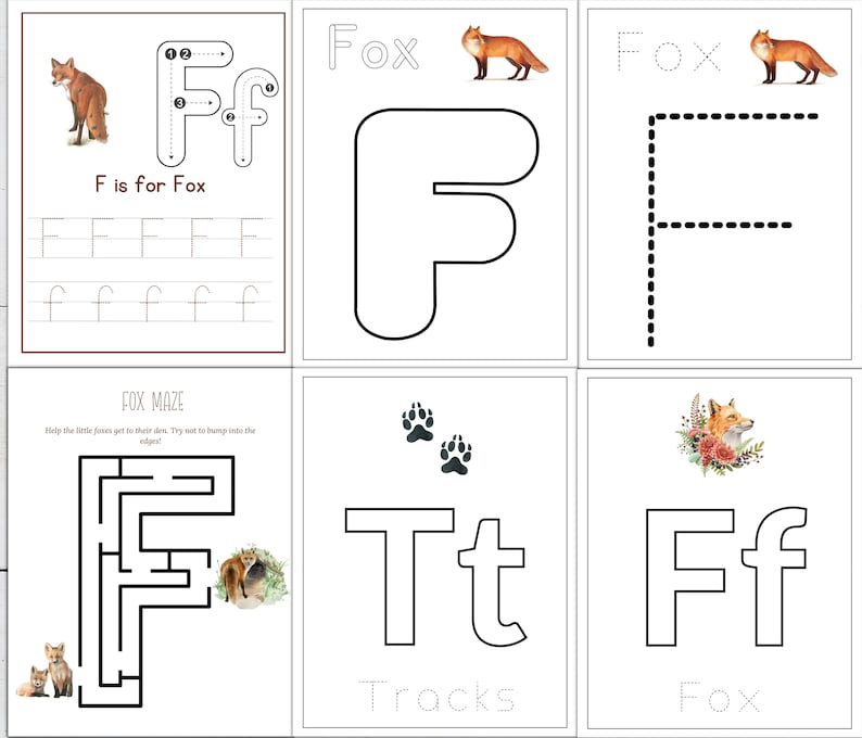 Red Fox Unit Study: Life Cycle, Anatomy, Homeschool Printable (instant ...