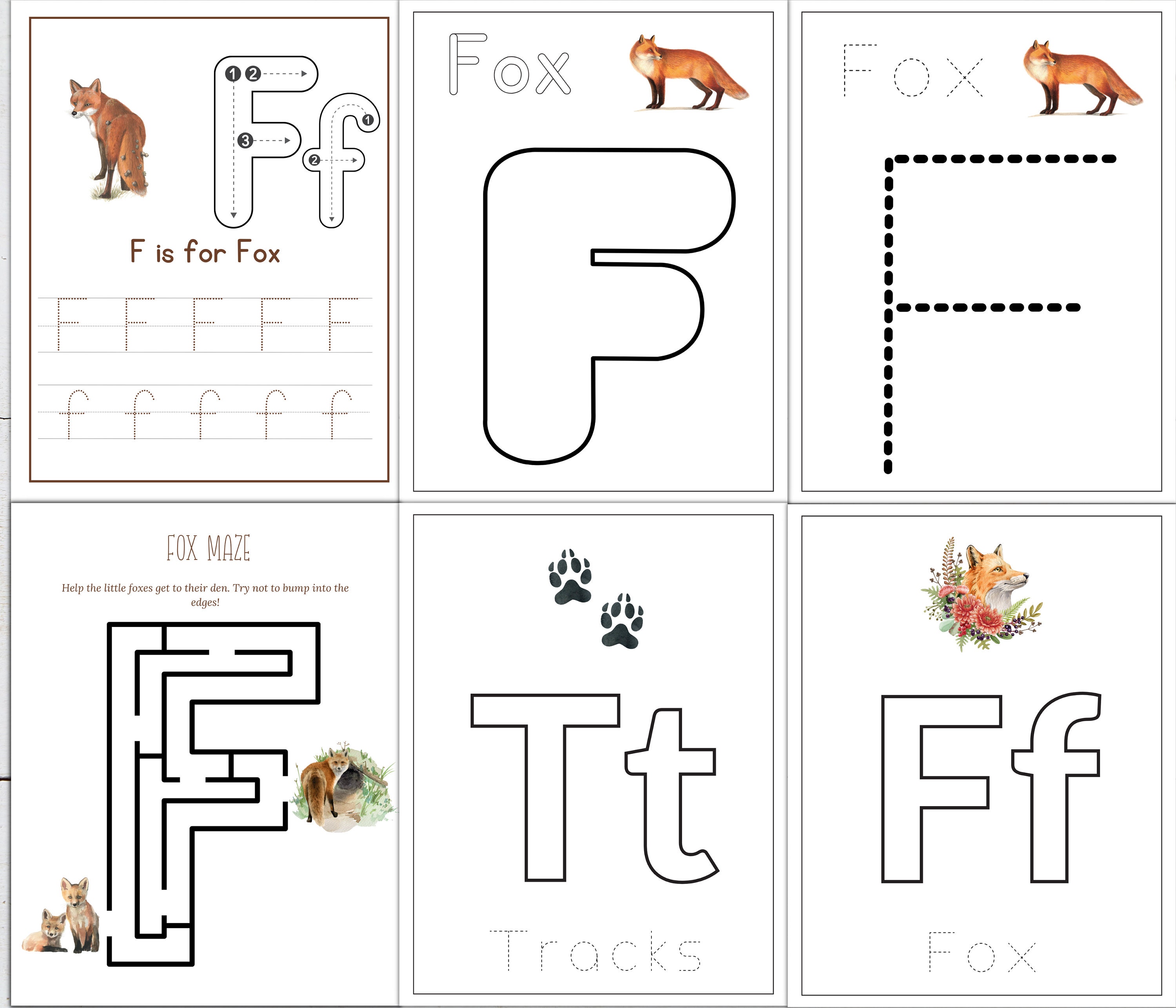 Red Fox Unit Study: Life Cycle, Anatomy, Homeschool Printable (instant ...
