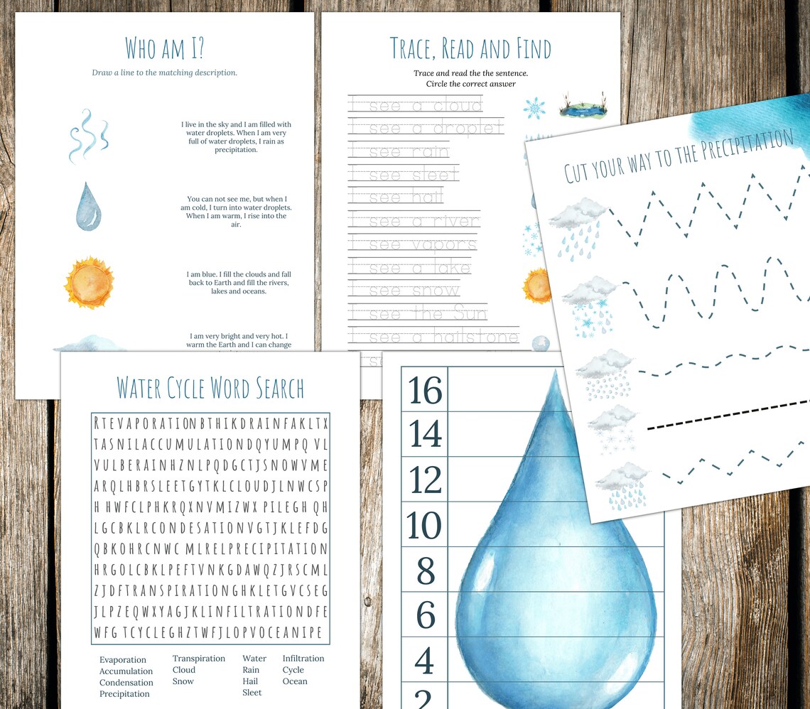 WATER CYCLE Unit Study Process Nature Study Science - Etsy