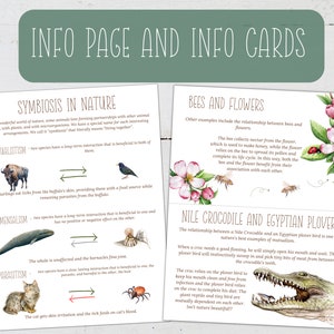 Symbiosis in Nature Unit Study: Homeschool Science (instant Download ...