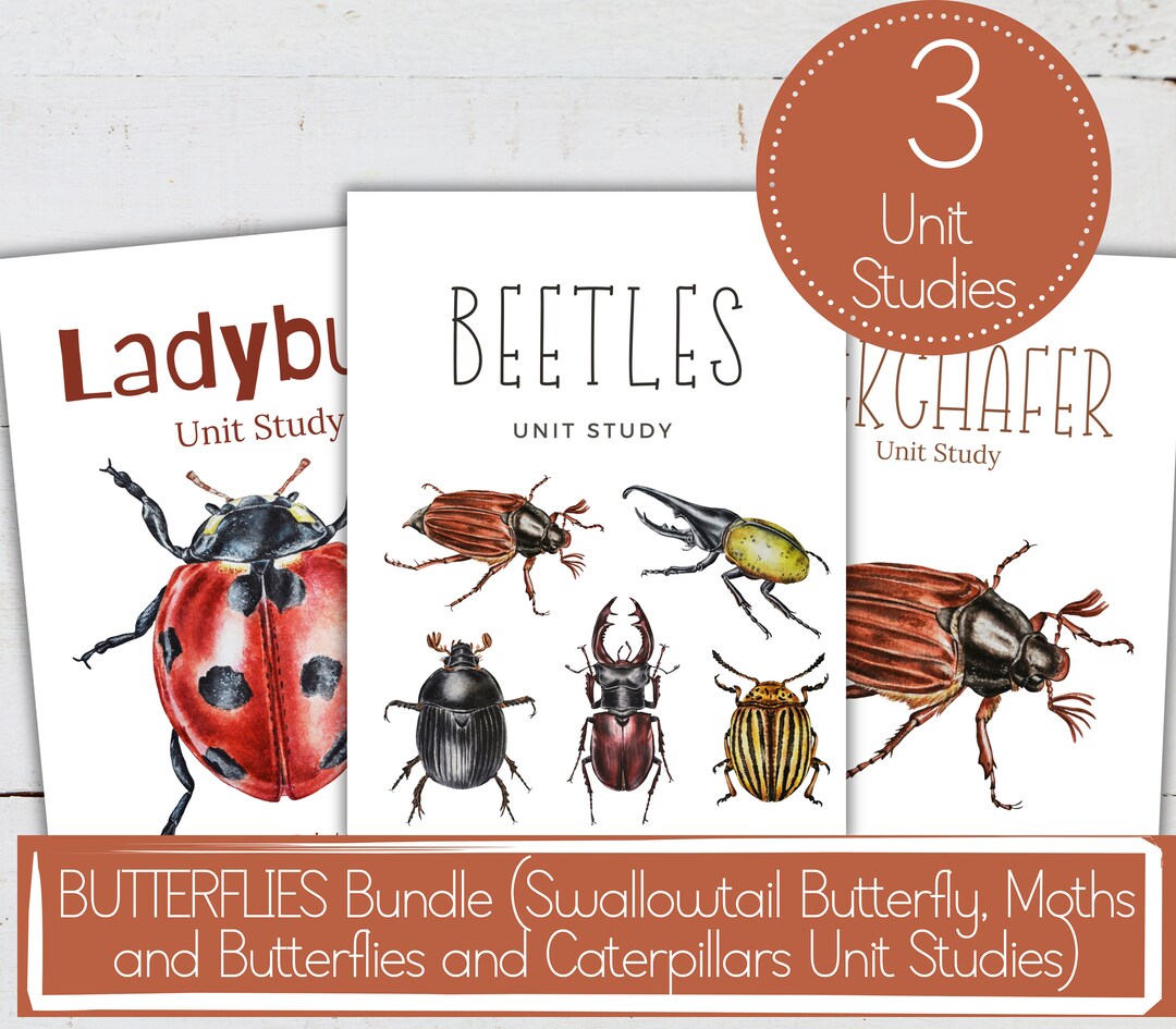 BEETLES Bundle, Beetles Unit Study, Cockchafer Unit Study and Ladybugs ...
