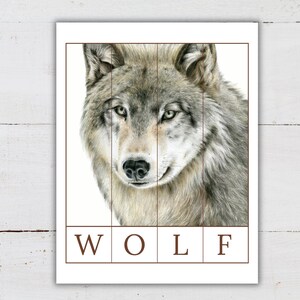 Letter W Wolf Learning Activities: Alphabet Printable (instant Download ...