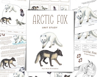 OWL LIFE CYCLE, Nature Study, Homeschool Printable, Instant Download - Etsy