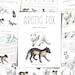 Arctic Fox Unit Study: Homeschool Science Printable (instant Download ...