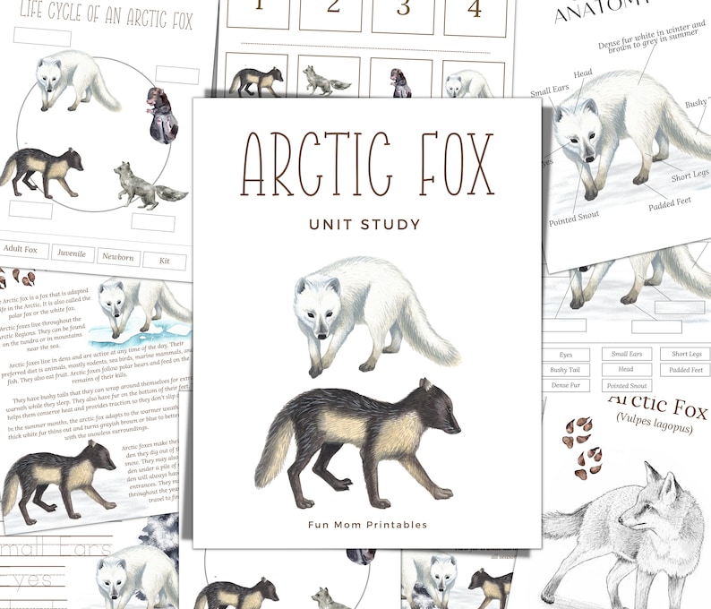 Arctic Fox Unit Study: Homeschool Science Printable (instant Download ...