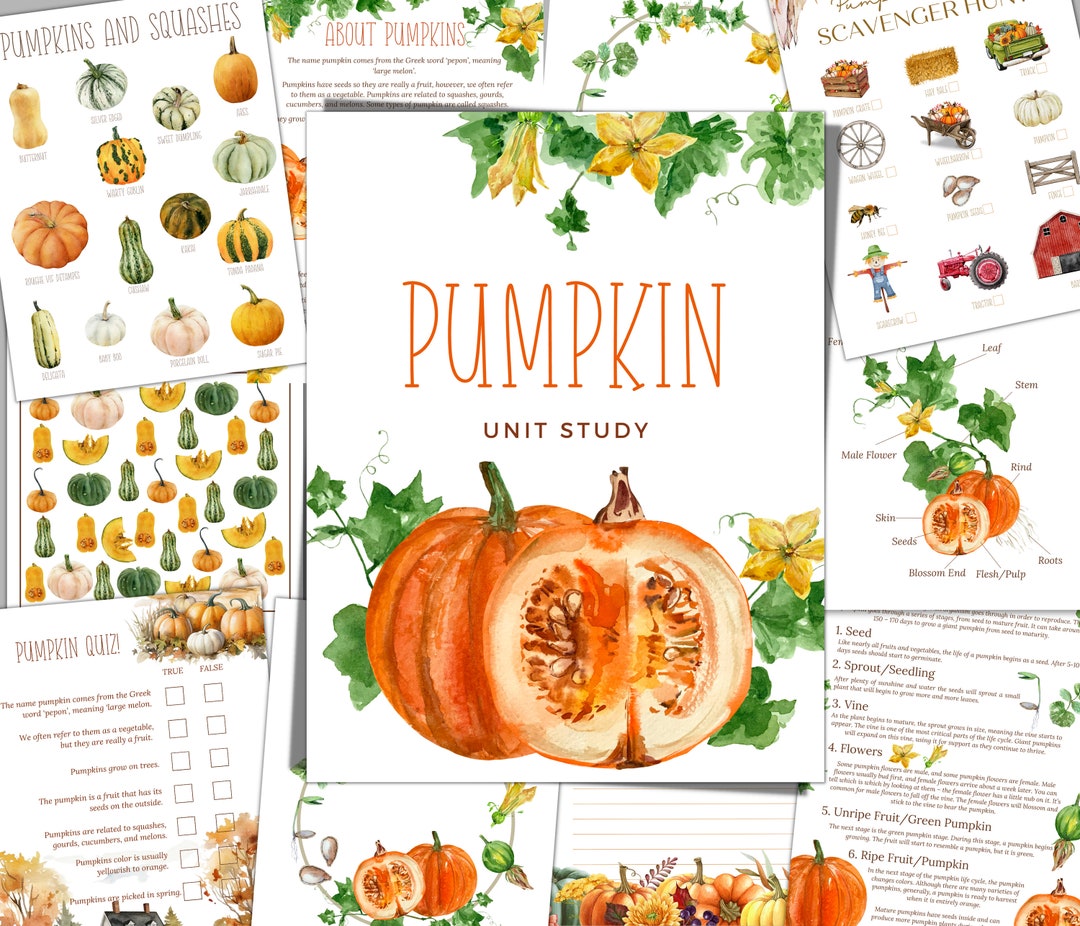 PUMPKIN Unit Study, Life Cycle, Anatomy, Nature Study, Science ...