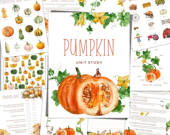 Autumn Pour & Explore Kit Sensory Play Bag for Kids, Fall Activity Set ...