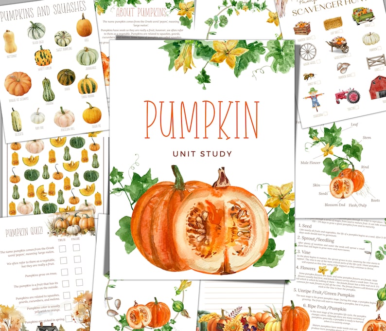 PUMPKIN Unit Study, Life Cycle, Anatomy, Nature Study, Science ...