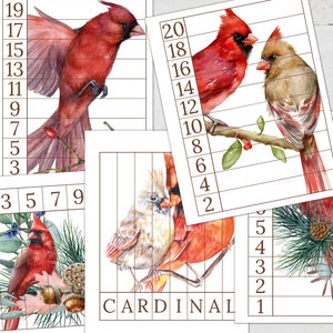 Northern Cardinal Unit Study: Homeschool Science Printable (instant ...
