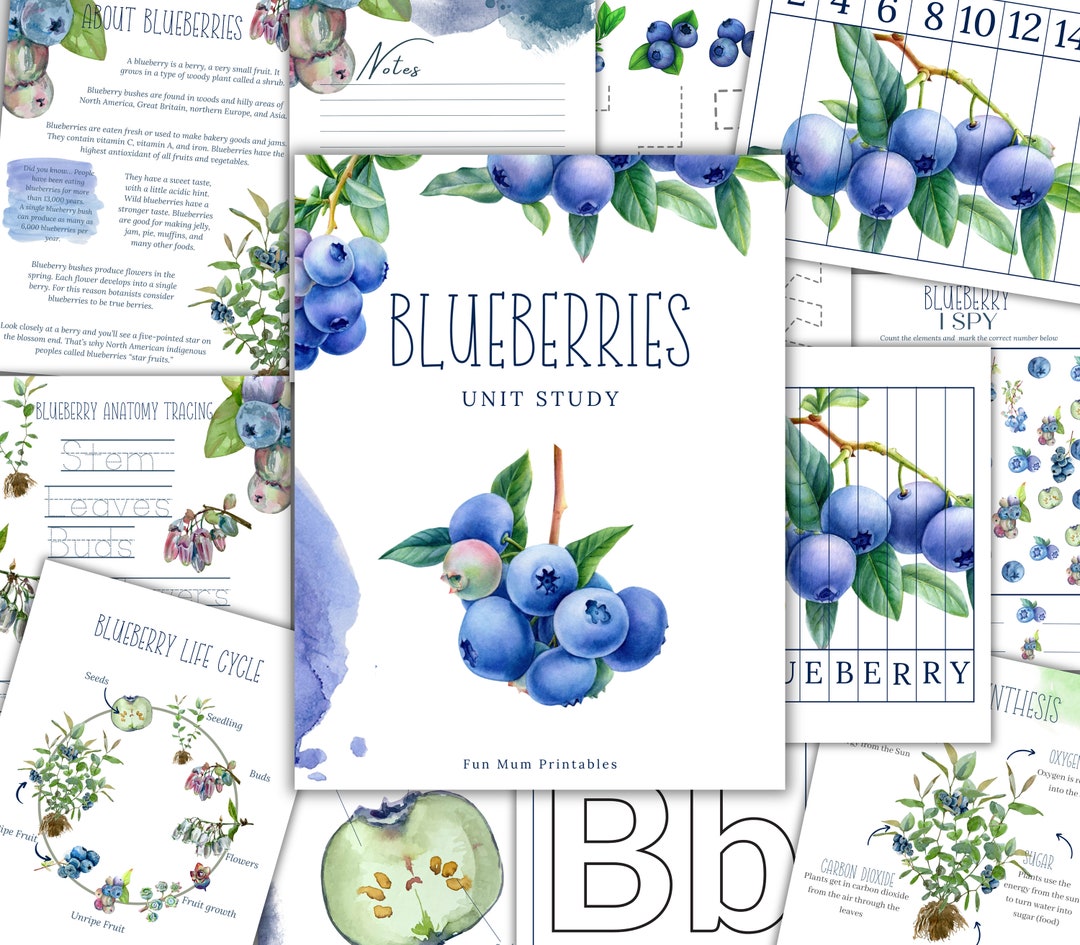BLUEBERRY Unit Study, Life Cycle, Anatomy, Nature Study, Science ...