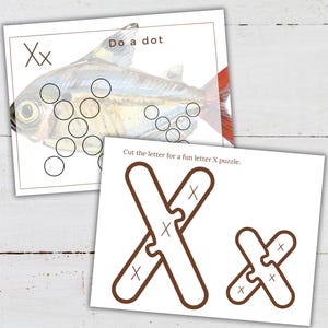 LETTER of the WEEK, X is for X-ray Fish, Letter X Activities, Alphabet ...