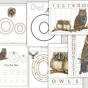 OWLS Unit Study, Life Cycle, Anatomy, Nature Study, Science ...