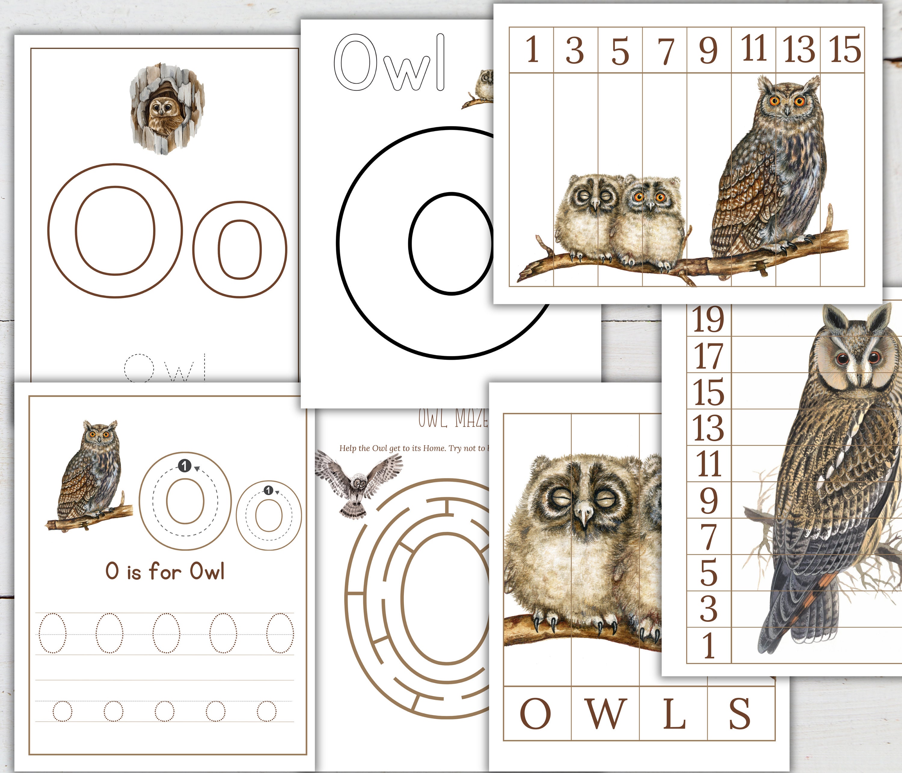 Owls Unit Study: Life Cycle, Anatomy, Homeschool Printable (INSTANT ...
