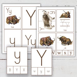 LETTER of the WEEK, Y is for Yak, Letter Y Activities, Alphabet ...
