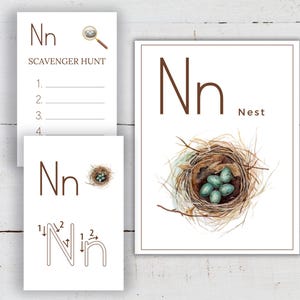 LETTER of the WEEK, N is for Nest, Letter N Activities, Alphabet ...