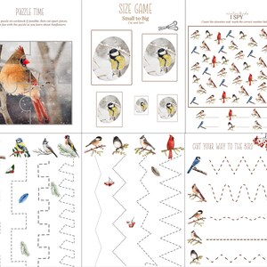 WINTER BIRDS Unit Study, Nature Study, Science, Handwriting, Homeschool ...