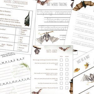 BATS Unit Study Life Cycle Anatomy Nature Study Science - Etsy