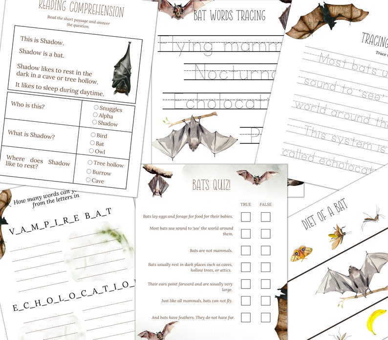 BATS Unit Study Life Cycle Anatomy Nature Study Science - Etsy