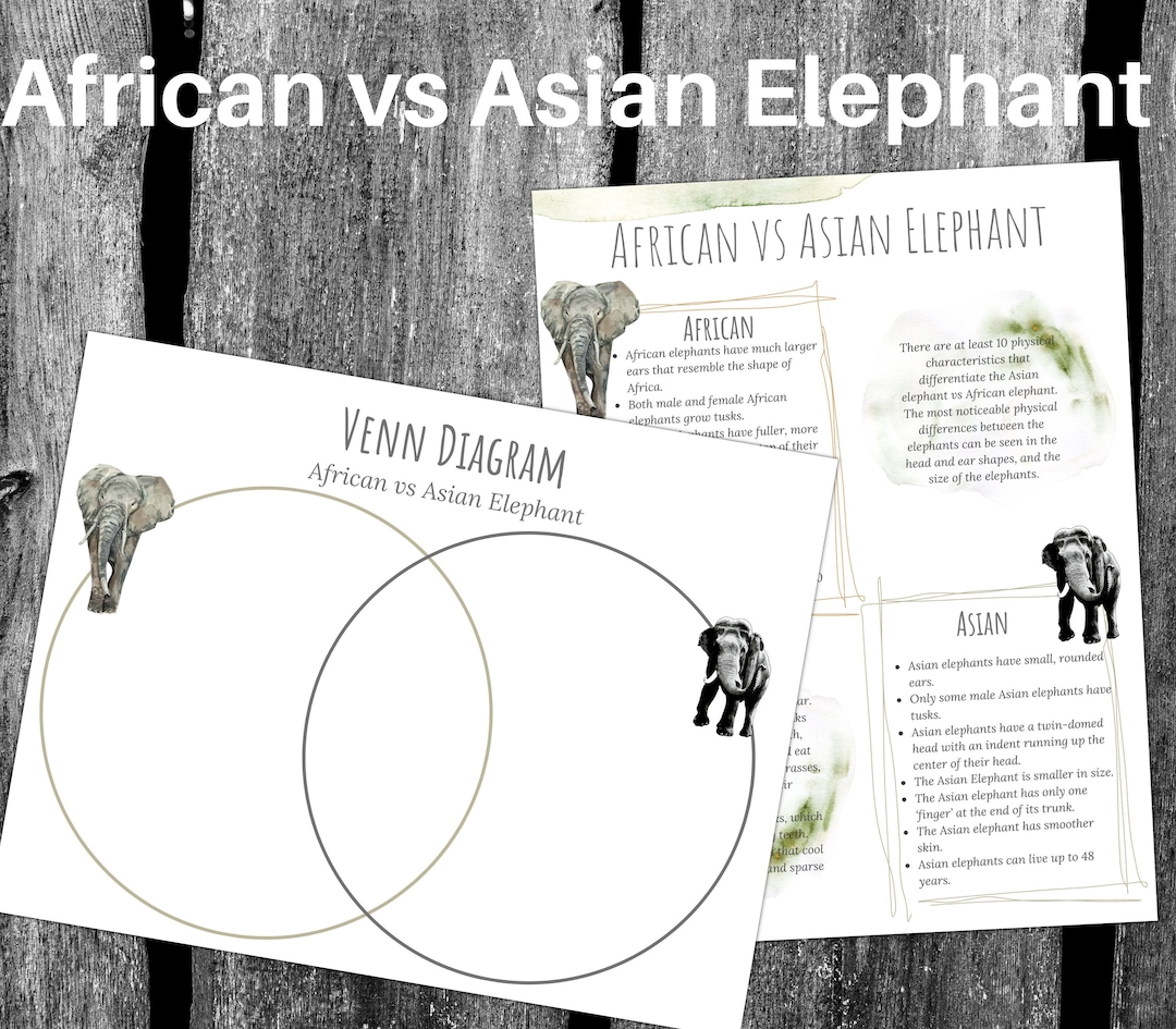 AFRICAN Vs ASIAN Elephant Venn Diagram Activity, Homeschool, Montessori ...