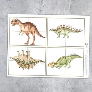 DINOSAURS Matching Cards Game, Symmetry Puzzle, Toddler Preschool ...