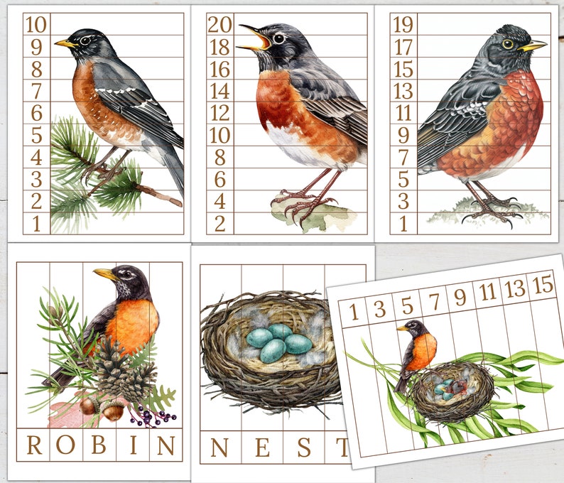 American Robin Unit Study: Homeschool Science Printable (instant ...
